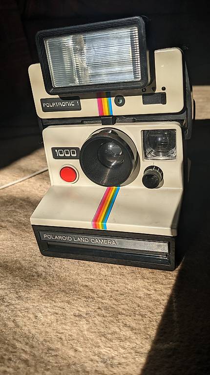 Polaroid Land Camera 1000 avec Flash Vintage 1977 Canton Vaud - anibis.ch