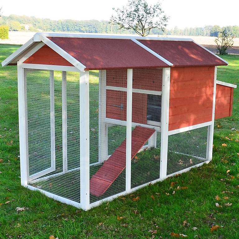 Volière pour poules Poulailler Gerda (Livraison Gratuit) Canton Vaud - anibis.ch