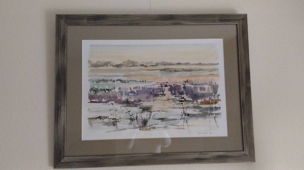 Aquarelle encadrée Canton Vaud - anibis.ch