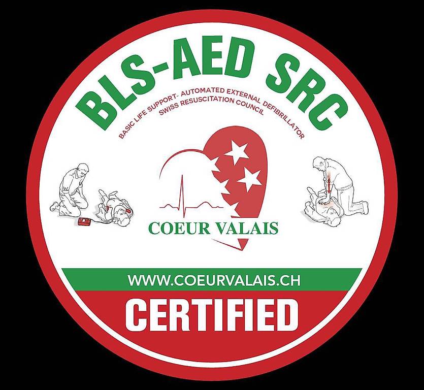 Formations BLS-AED SRC réanimation défibrillateur Canton Valais - anibis.ch