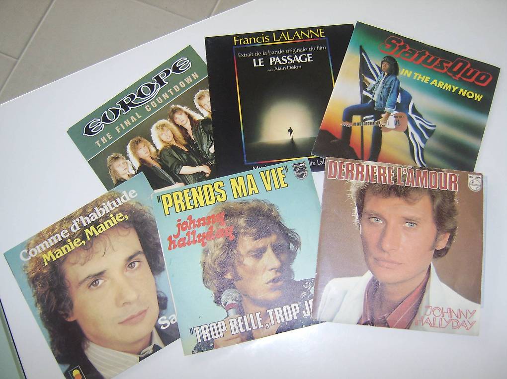 Disques 33T et 45t Canton Fribourg - anibis.ch