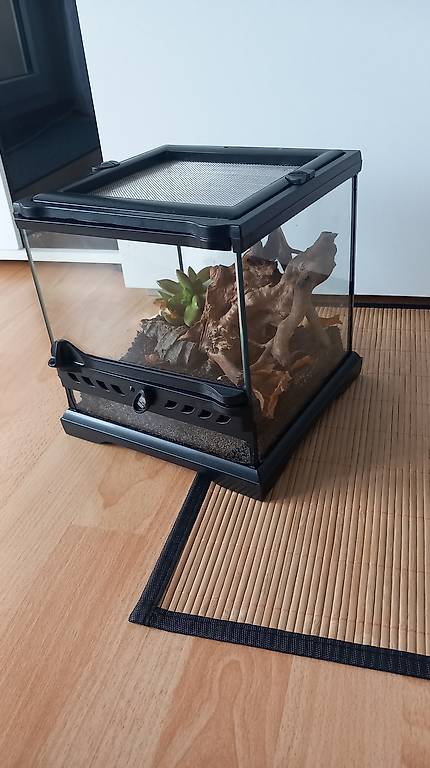 TERRARIUM EXO TERRA Neuf et aménager Canton Fribourg - anibis.ch