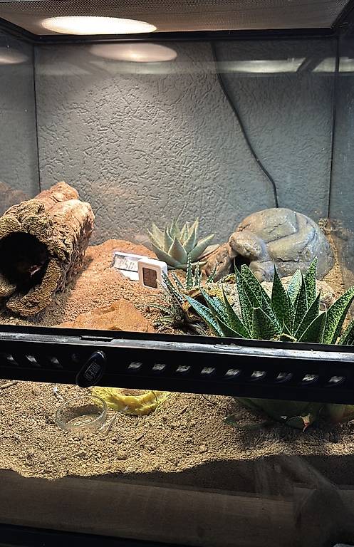 Terrarium 45x45x45 30CHF Canton Fribourg - anibis.ch