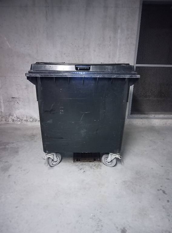 Container 800 litres Canton Genève - anibis.ch