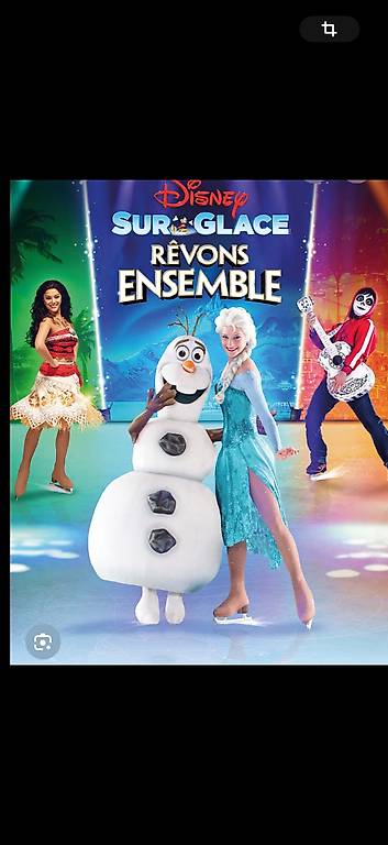 Disney sur glace Vaudoise Arena 28.01.2025 3xbillets Canton Vaud ...