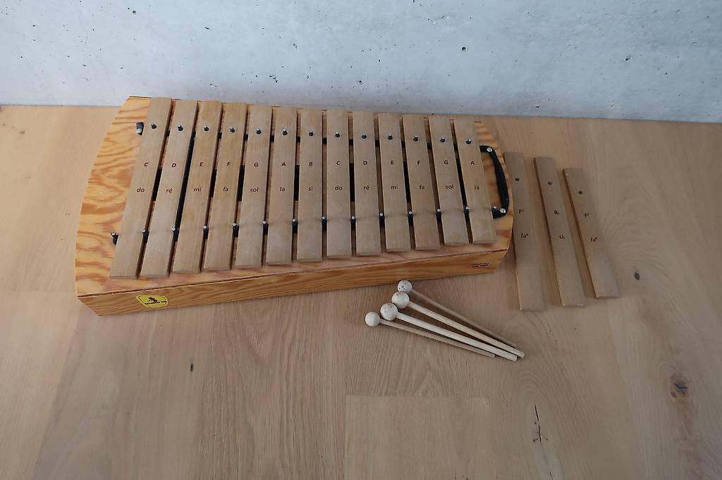 Xylophon Studio49 AXG 1000 Murten/Yverdon Canton Fribourg - anibis.ch