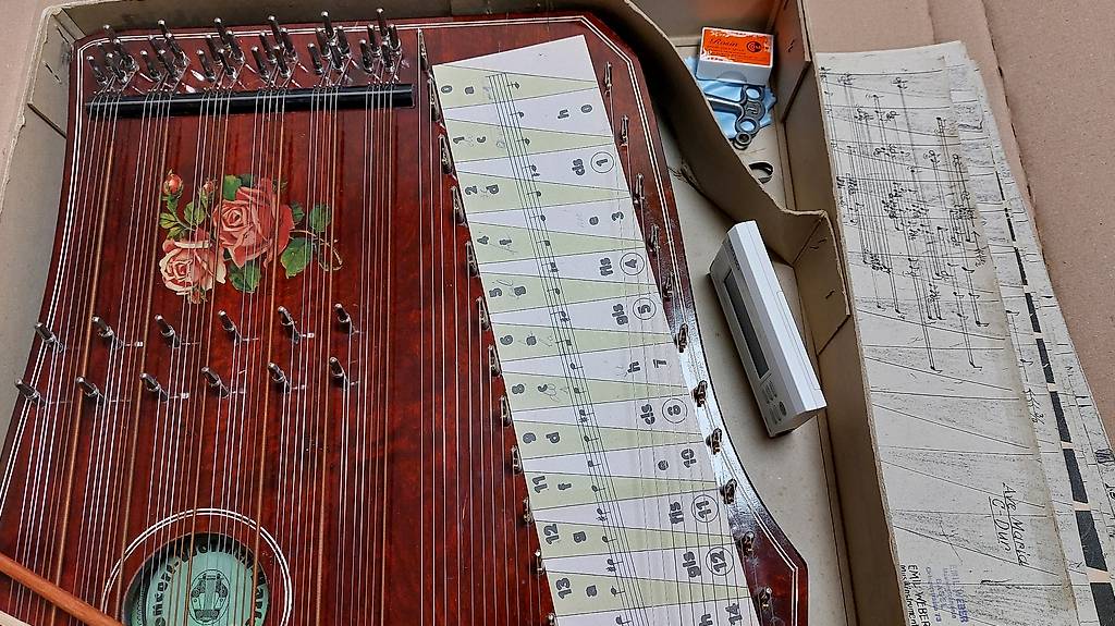 Violon/harpe de concert neuf, cordes 6 accords Canton Berne - anibis.ch
