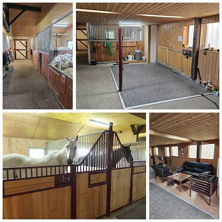 Pension Broye-Fribourgeoise im Kanton Freiburg - anibis.ch