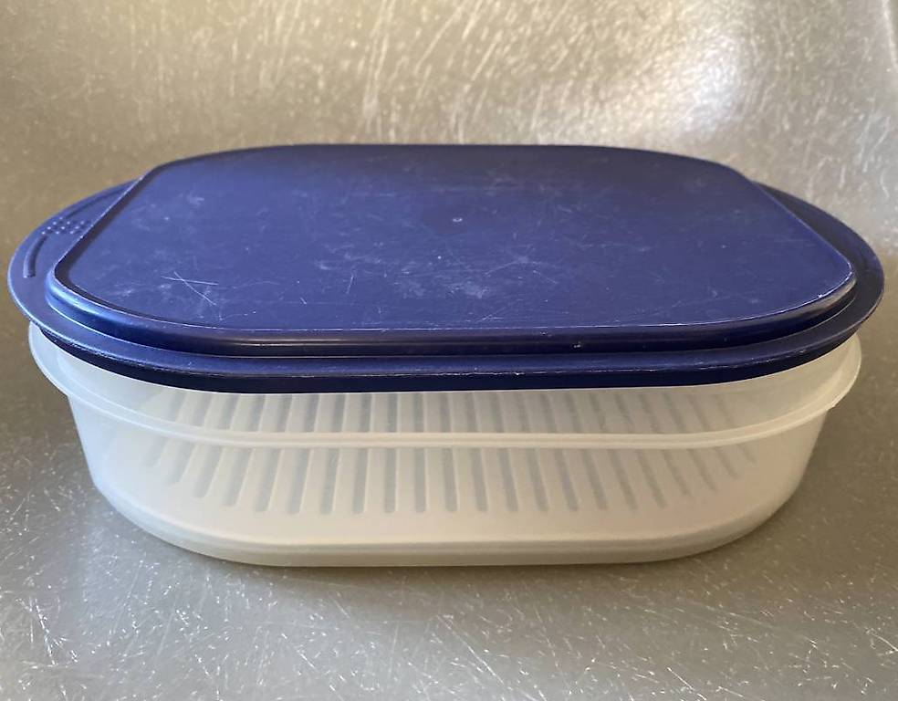 Récipient rectangulaire avec grille Tupperware Canton Vaud - anibis.ch