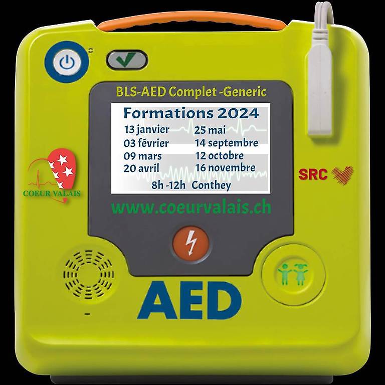 Formations BLS-AED SRC réanimation défibrillateur Canton Valais - anibis.ch