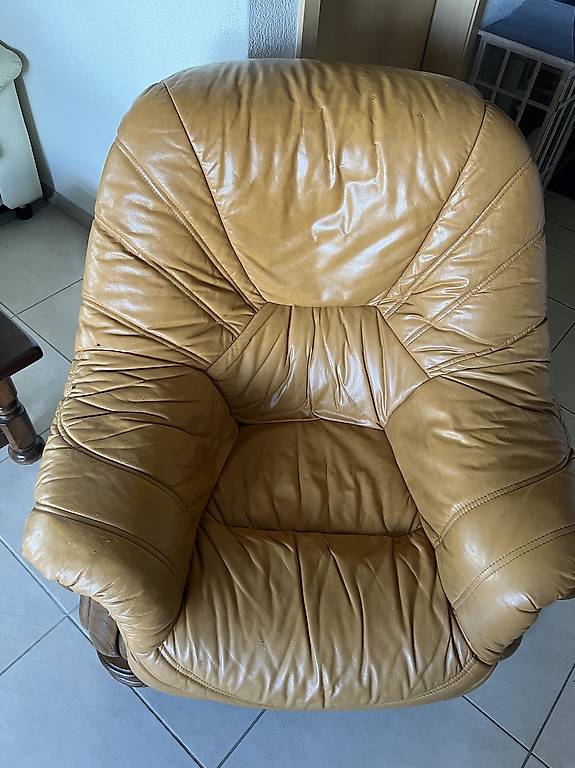 Fauteuil Canton Fribourg - anibis.ch