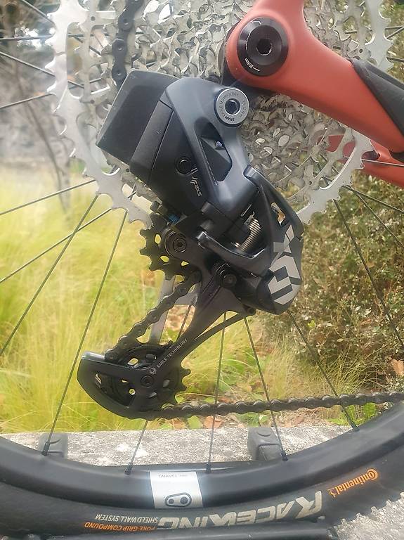 Santa Cruz Stigmata XXL Canton Vaud - anibis.ch