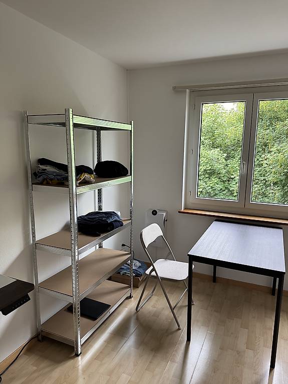 35m 1.5 room Apartment to rent for 3 months Canton Zurich louer - anibis.ch