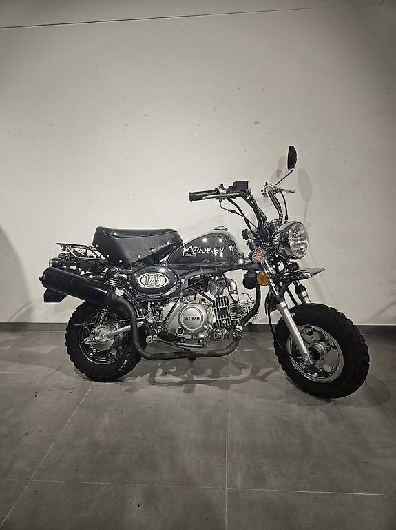 SKYTEAM Skyteam Monkey Canton Berne - anibis.ch