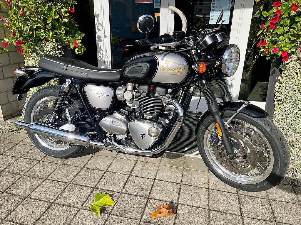TRIUMPH Bonneville T120 Icon Edition Canton Lucerne - anibis.ch