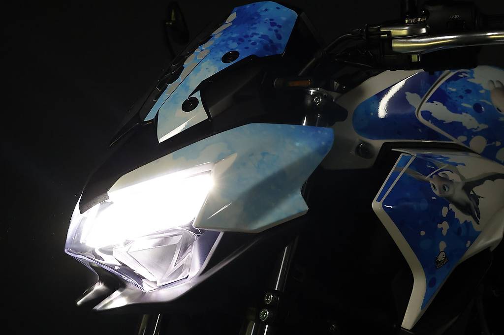 KAWASAKI Z 650 (50/35 KW) *Dragon* Level 2 Canton Berne - anibis.ch