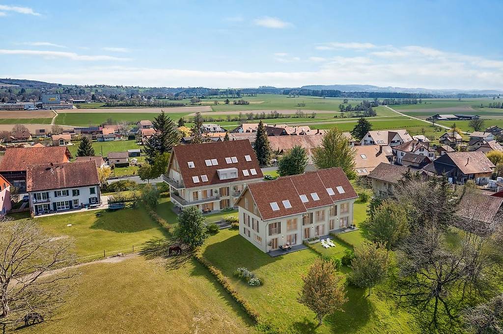 Permis en force ! Belle maison contiguë Canton Vaud acheter - anibis.ch