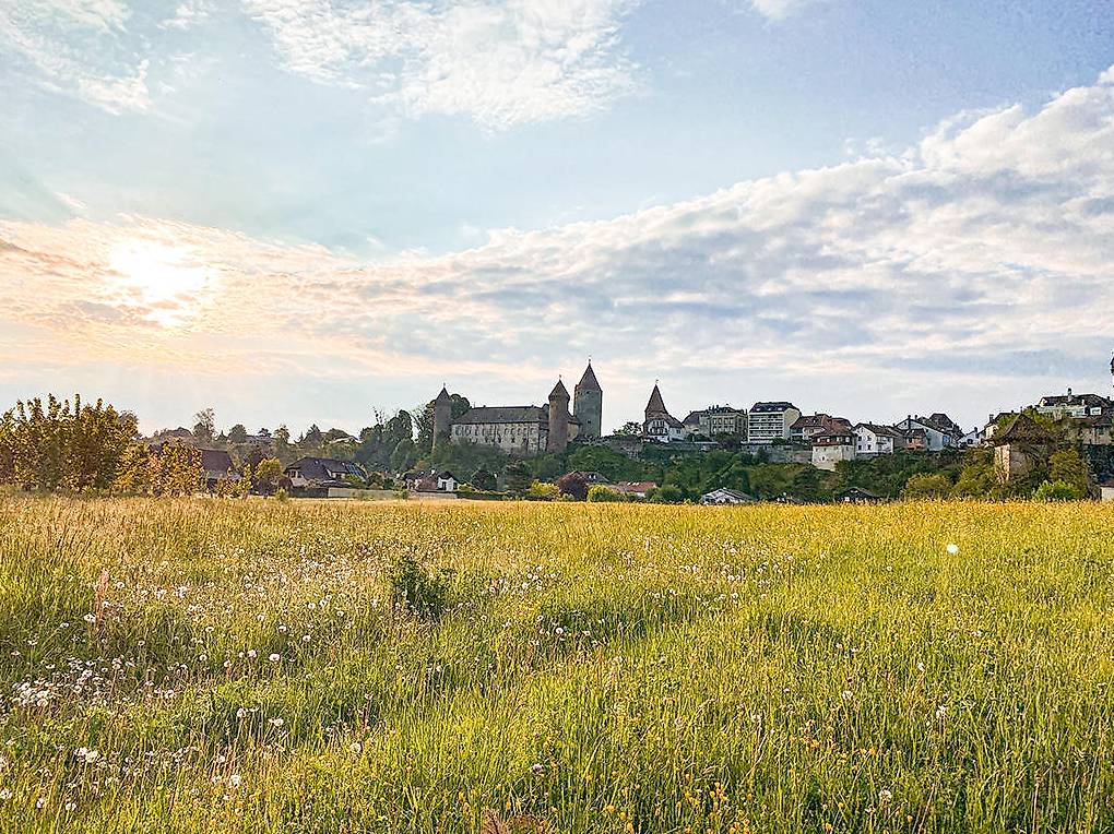 ESTAVAYER-LE-LAC - APPARTEMENT NEUF AVEC BEAUCOUP DE CACHET Canton ...