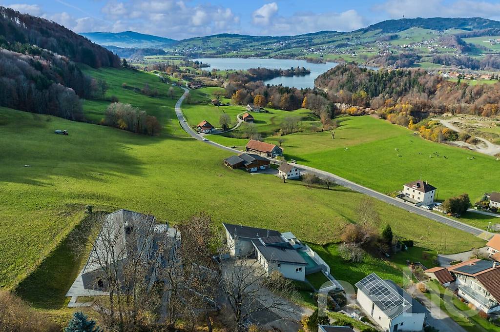Le luxe discret à La Roche: Villa d?Exception avec Vue Canton Fribourg ...
