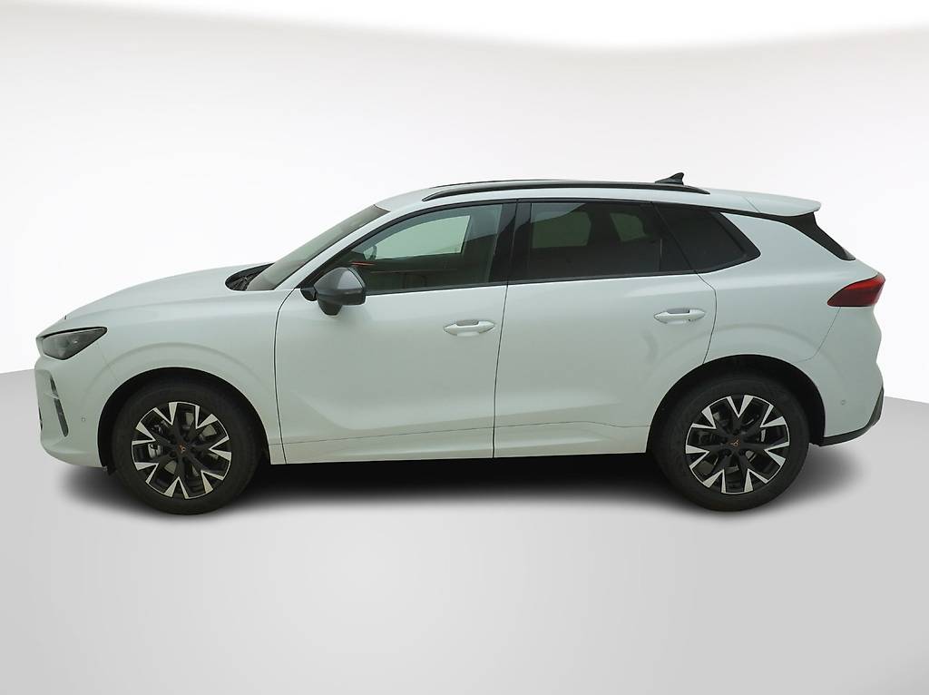 CUPRA Terramar 2.0 TSI 4Drive DSG im Kanton Thurgau - anibis.ch