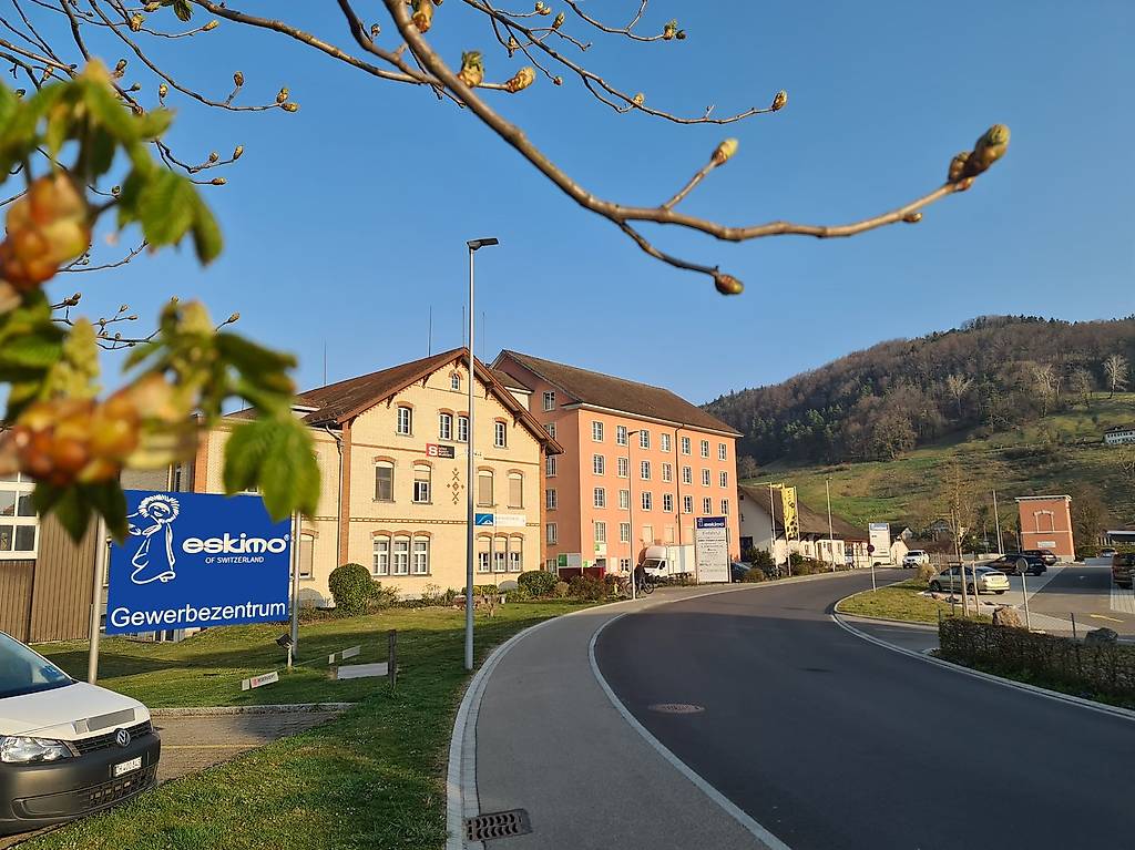 241 m2 Lagerfläche an exzellenter Lage Canton Zurich louer - anibis.ch