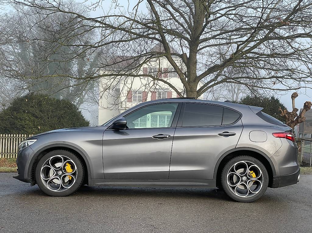 ALFA ROMEO Stelvio 2.0 Executive Q4 Automatic MFK 12.01.2026 Canton ...