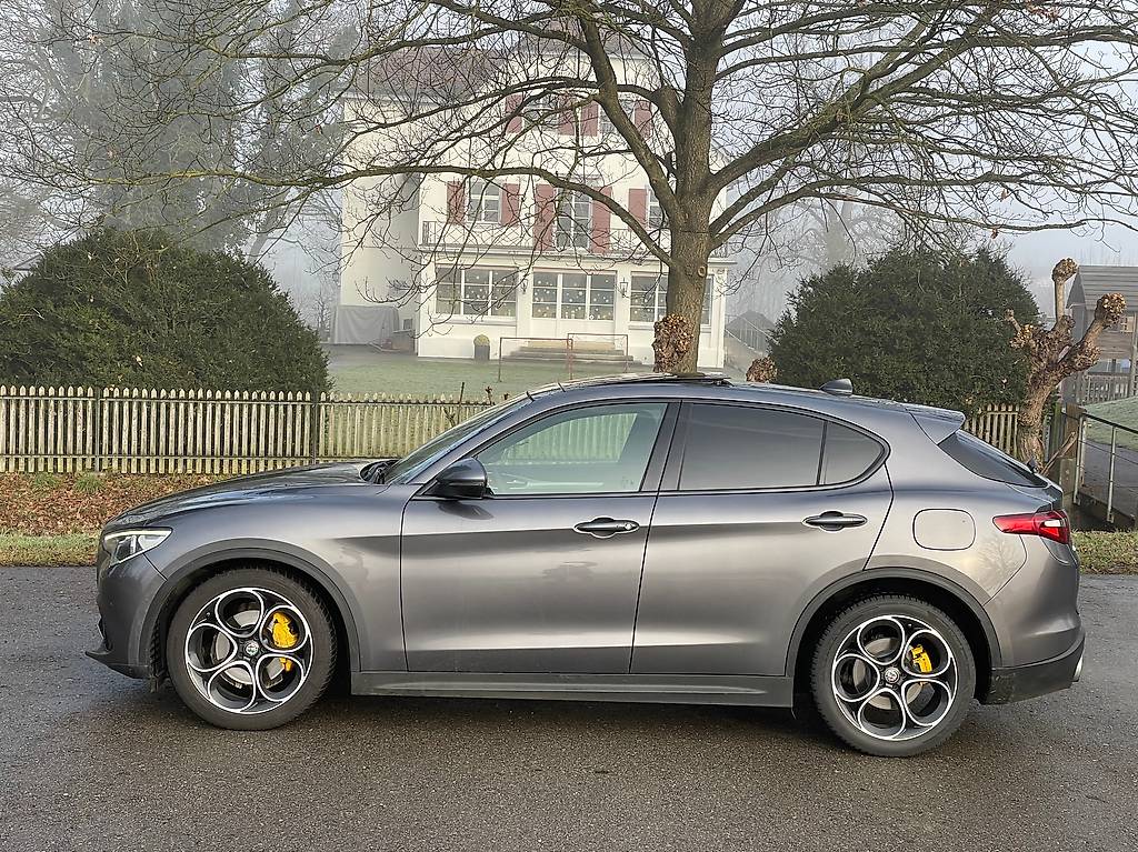 ALFA ROMEO Stelvio 2.0 Executive Q4 Automatic MFK 12.01.2026 Canton ...