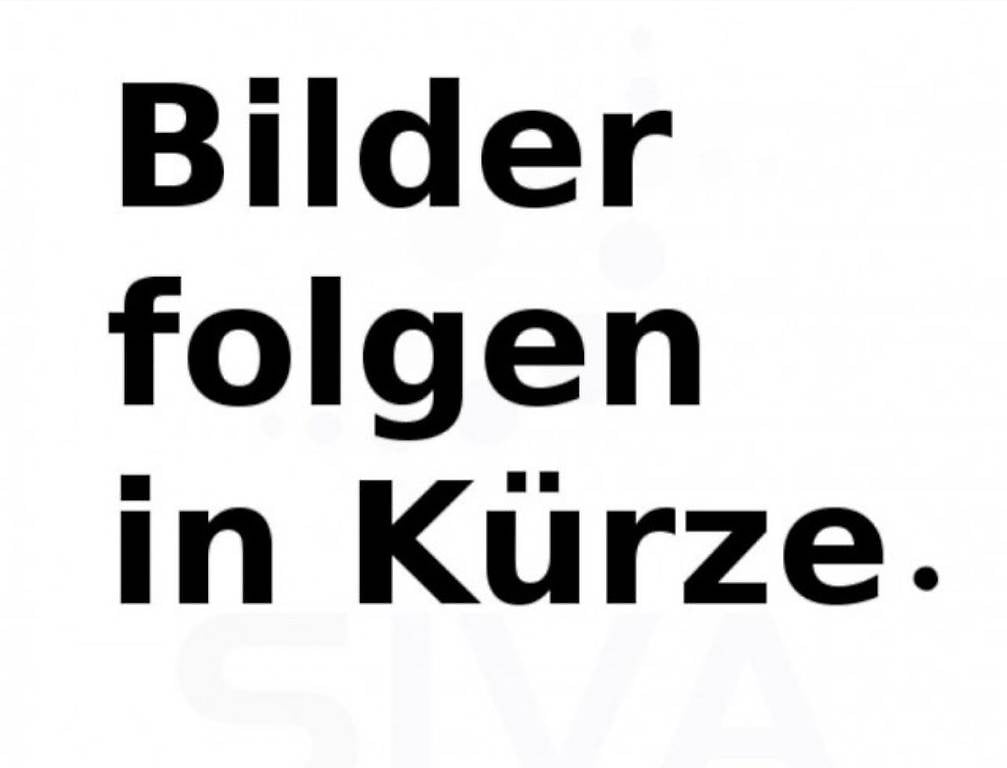 TESLA Model Y Long Range Canton Zurich - anibis.ch