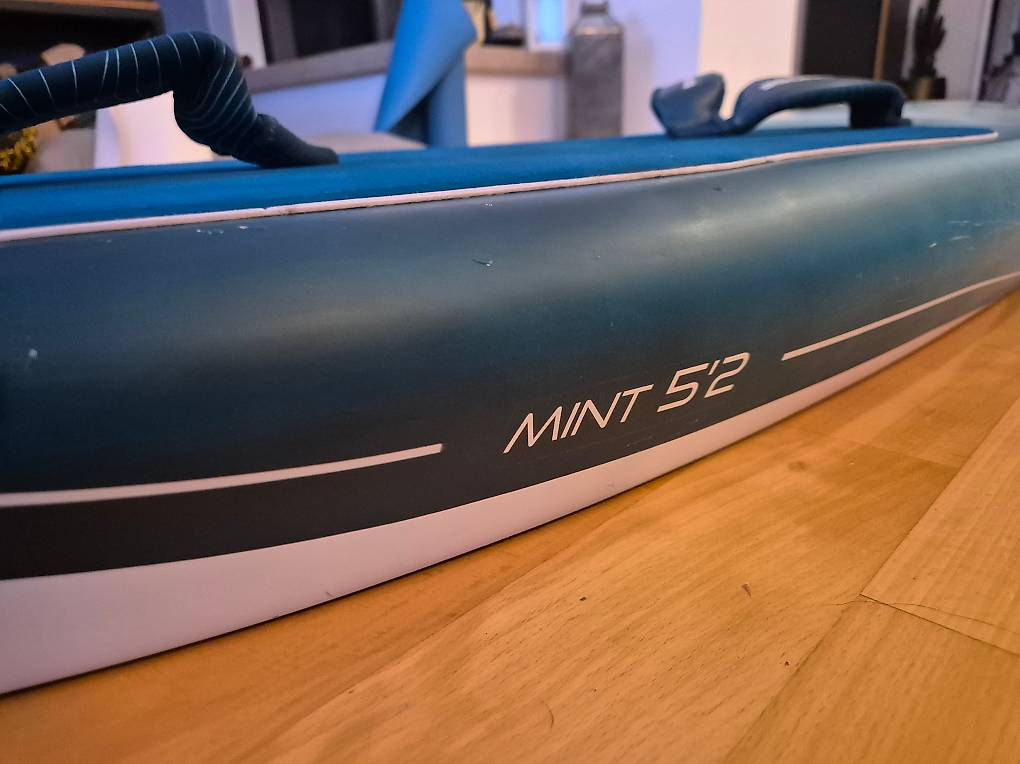 Wing Foil Board Mint FSP Pro 85 Litres gong wingfoil Canton Vaud ...