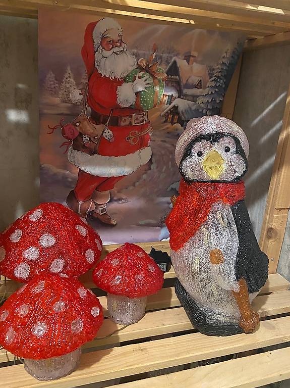 Luminaires de Noël pour l'extérieur. Canton Vaud - anibis.ch