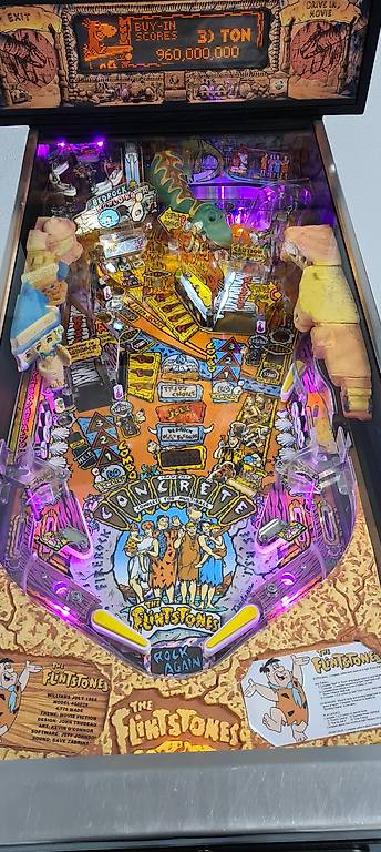 Flipper flintstones Canton Berne - anibis.ch