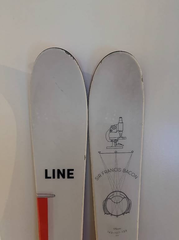 Ski Line Sir Francis Bacon Canton Genève - anibis.ch