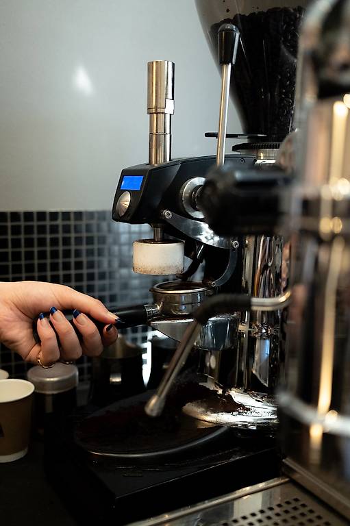 Victoria Arduino Leva 3 groupes Canton Genève - anibis.ch