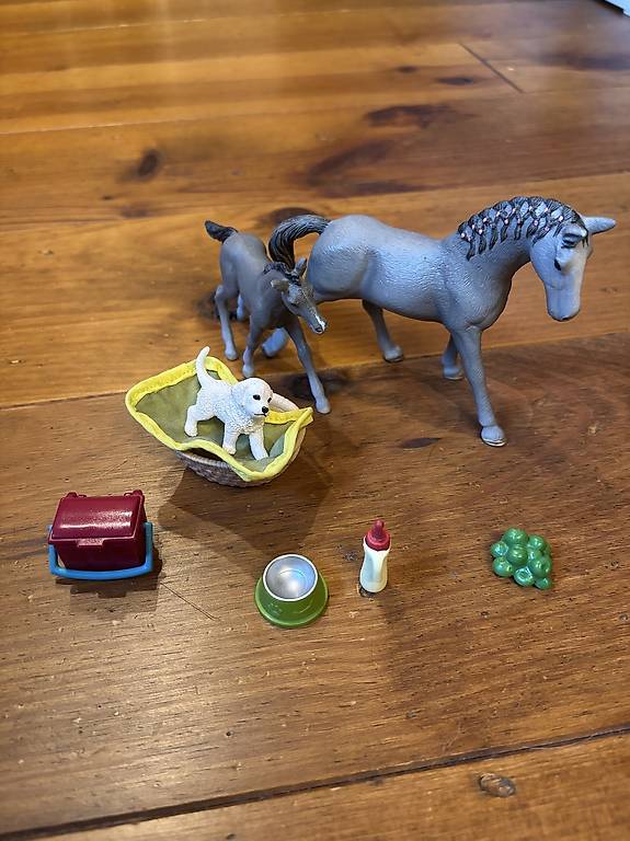 Schleich Horse club 42432 - soins pour bébés animaux Canton Berne ...