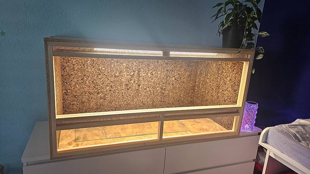 Terrarium exo terra 20cm x 20cm x 20cm Canton Vaud - anibis.ch