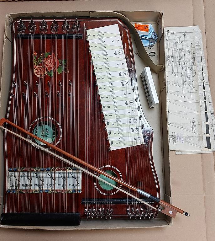 Violon/harpe de concert neuf, cordes 6 accords Canton Berne - anibis.ch