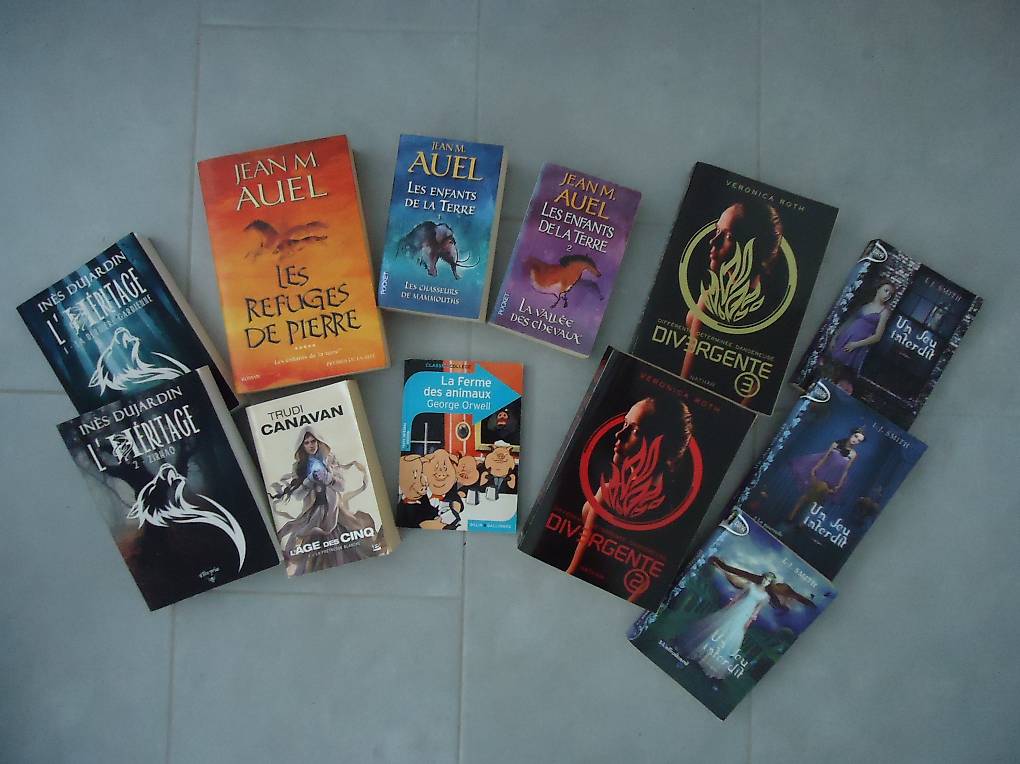 Livres et jeux pour jeunes de 13 ans, 14 ans, 15 ans, 16 ans Canton ...