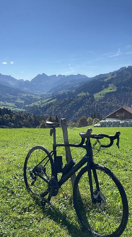 Specialized Roubaix SL7 Canton Fribourg - anibis.ch