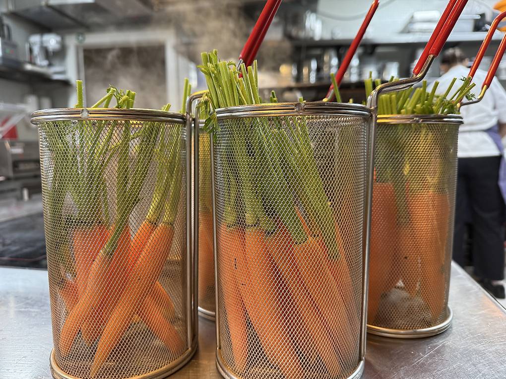 Cuisinière/Cuisinier CFC Canton Vaud - anibis.ch