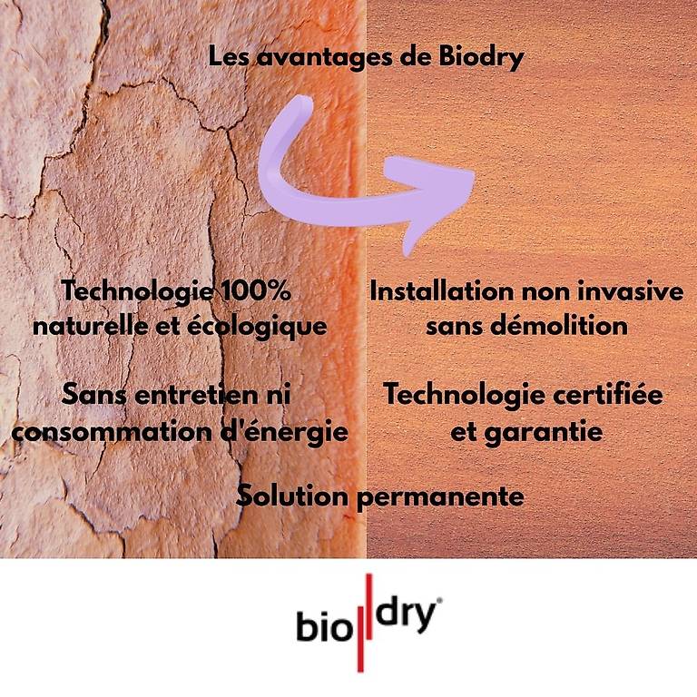 Inspection: adieu moisissures et murs humides avec BIODRY Canton Tessin ...