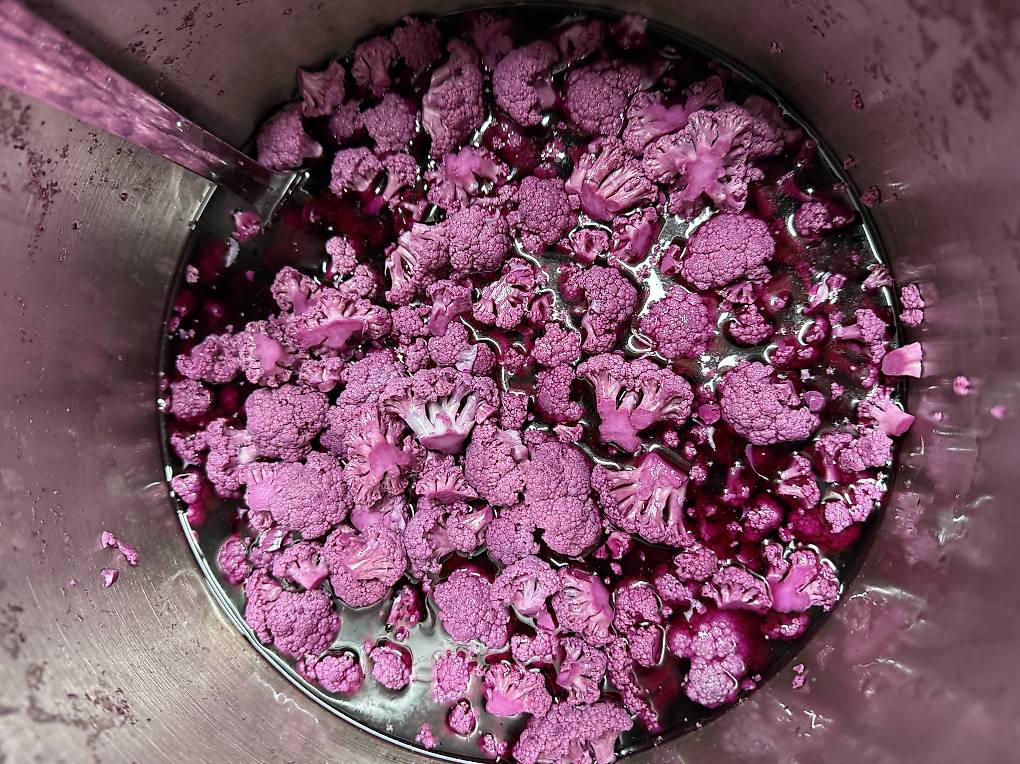 Cuisinière/Cuisinier CFC Canton Vaud - anibis.ch