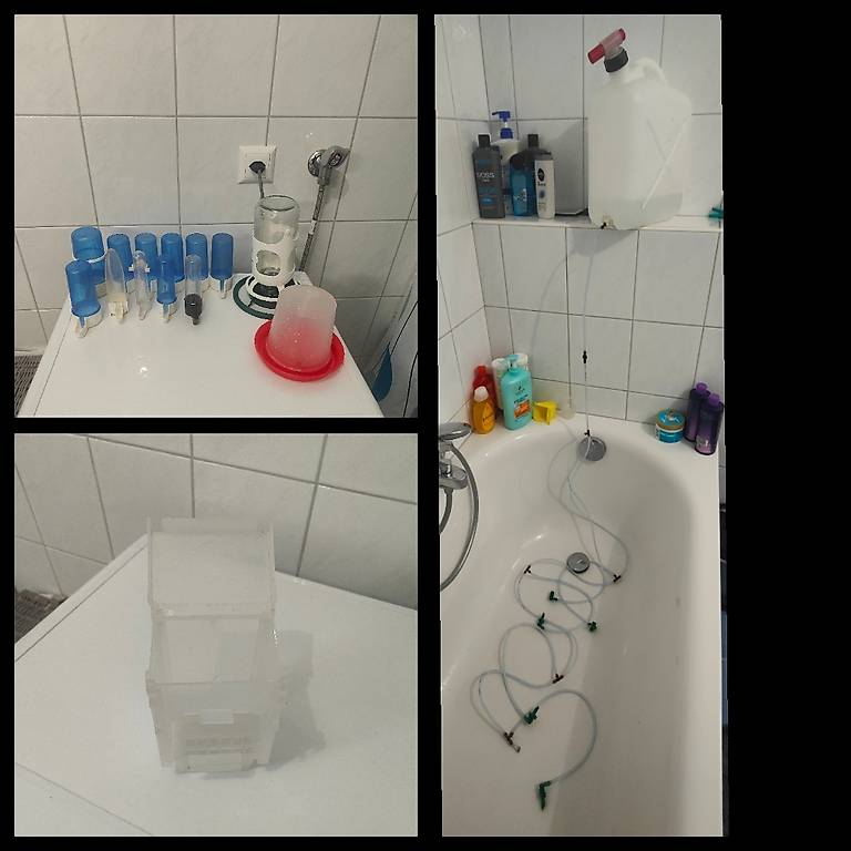 Divers matériel pour l'élevage des Canaries Canton Valais - anibis.ch