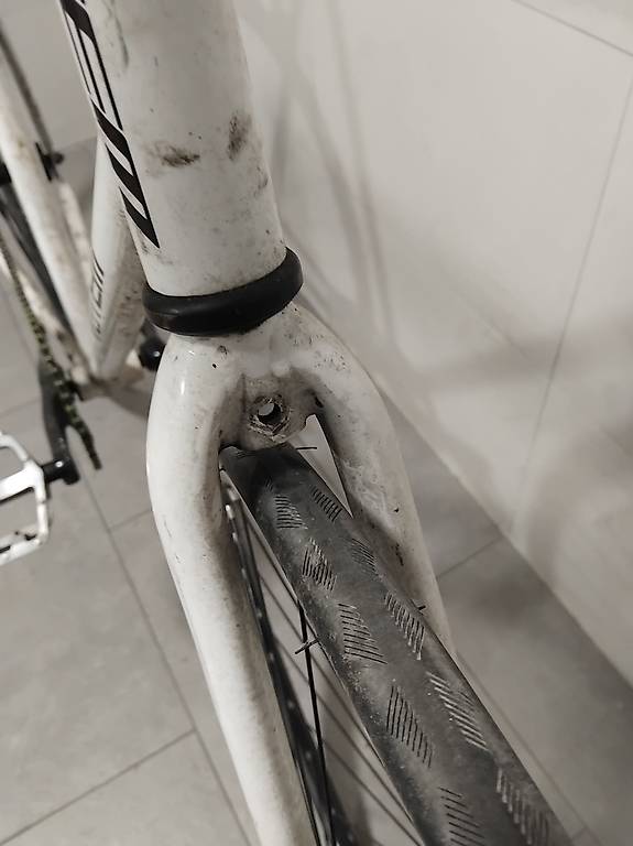 totem fixie singlespeed dans l'état Canton Genève - anibis.ch