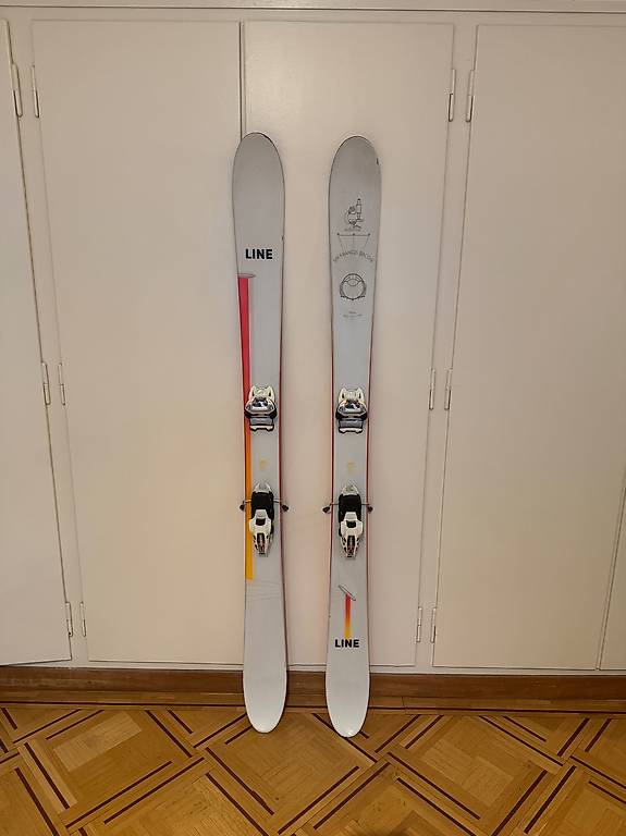 Ski Line Sir Francis Bacon Canton Genève - anibis.ch