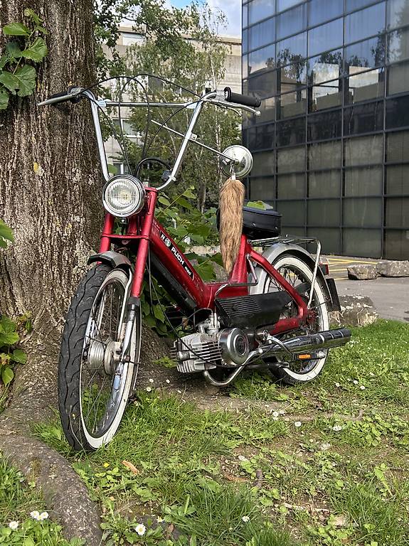 Puch Maxi N - Top Zustand Canton Berne - anibis.ch