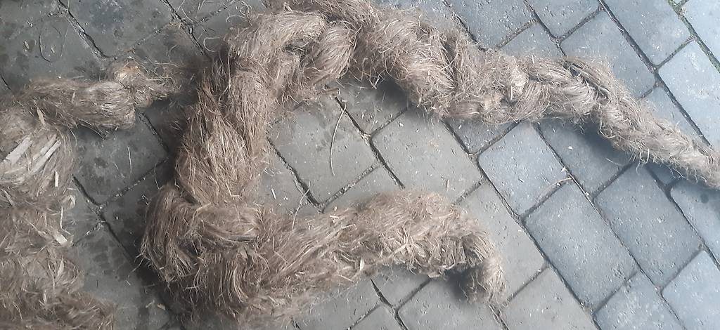 crin de cheval Canton Fribourg - anibis.ch