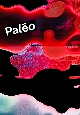 Billet Paléo Dimanche 2026 im Kanton Waadt - anibis.ch