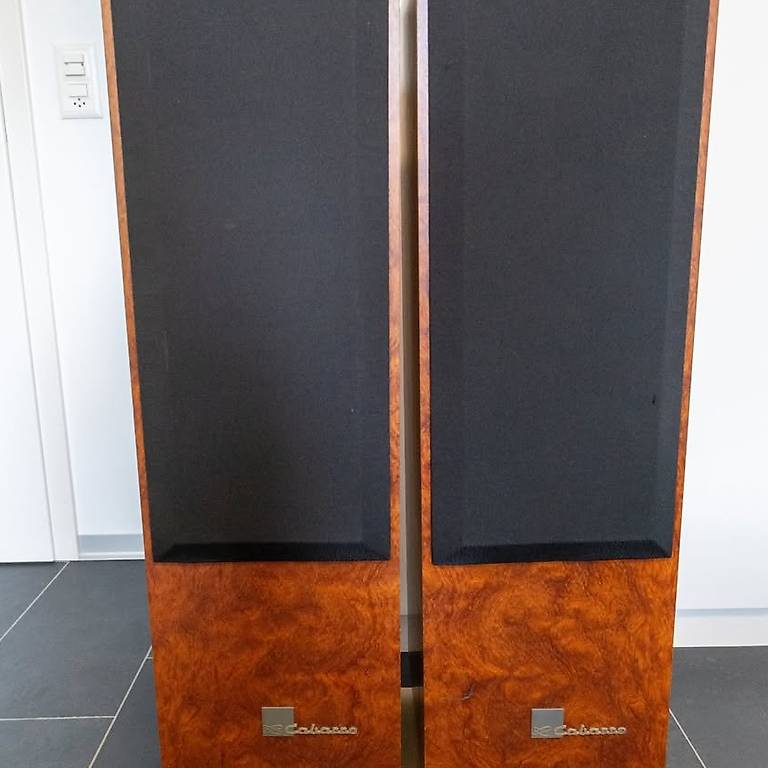 Enceintes Cabasse Farella Canton Berne - anibis.ch