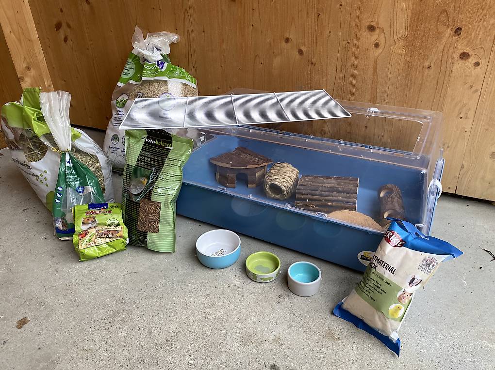 Cage hamster + accessoires Canton Vaud - anibis.ch