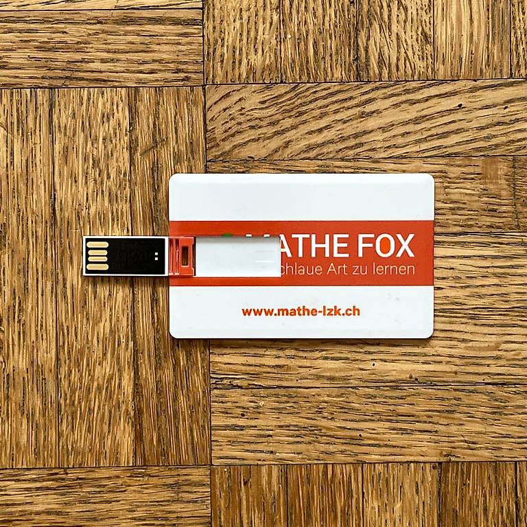 Mathe FOX 5 - die schlaue Art zu lernen (USB-Stick) Canton Zurich ...